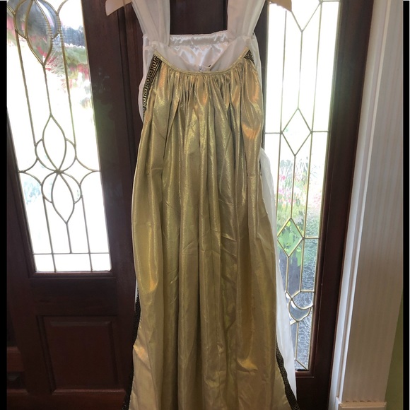 Wishcraft | Dresses | Chasing Fireflies Wishcraft Greek Goddess Costume ...